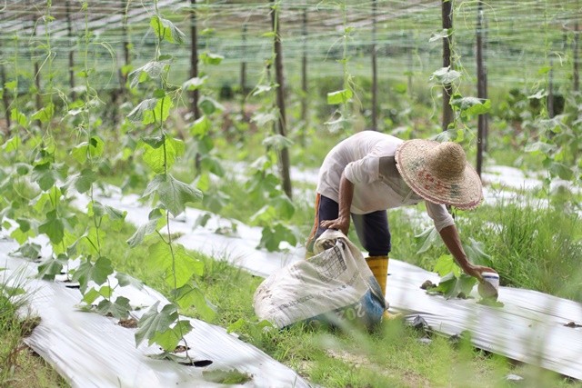 MIPD: Infrastructure Development in Sarawak - RAKAN Sarawak